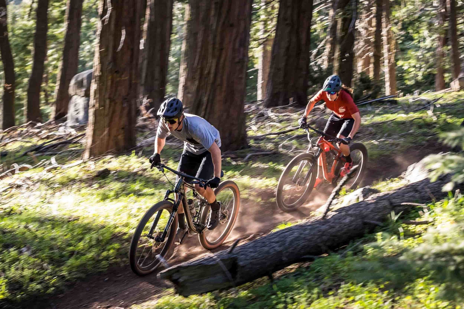 Mountain Bike Buyers Guide | Atlanta Bike Shop | Peachtree Bikes